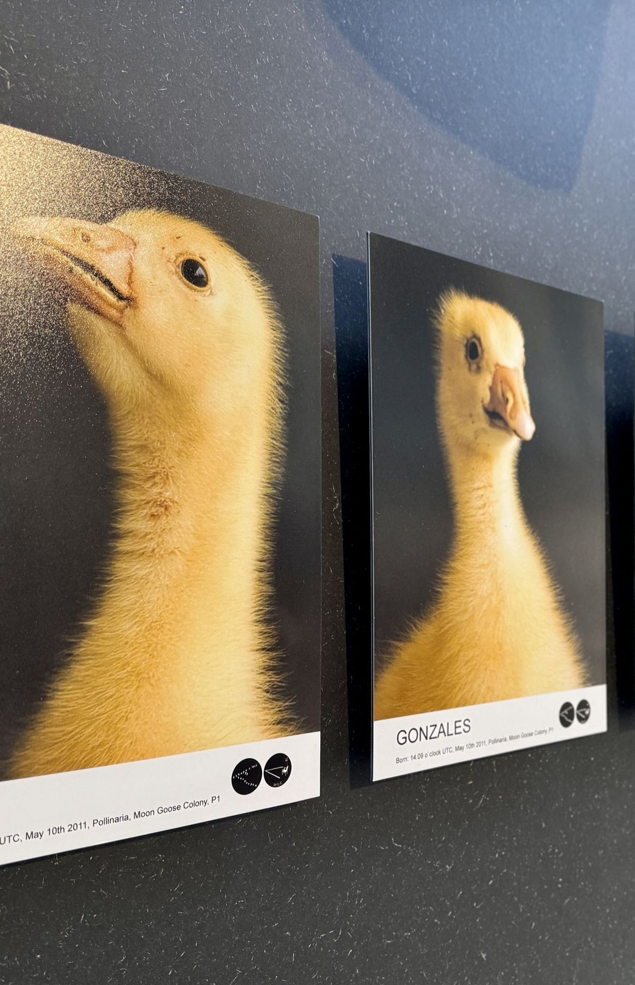 Stellar Scape : la nouvelle conquête spatiale au Pavillon à la citadelle de Namur - RTBF Actus