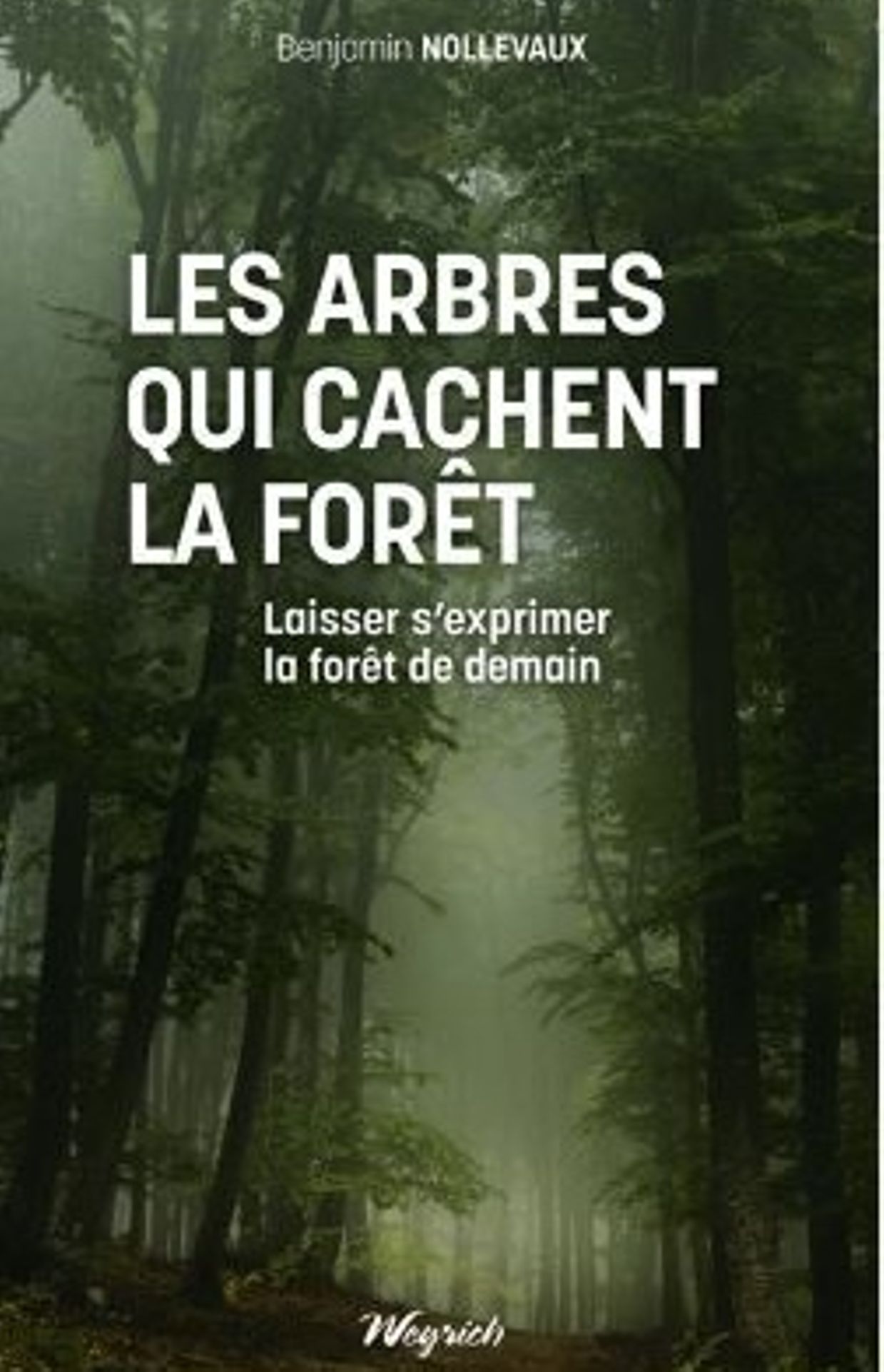 Comment préserver les animaux et arbres de nos forêts ? L’avis d’un ...