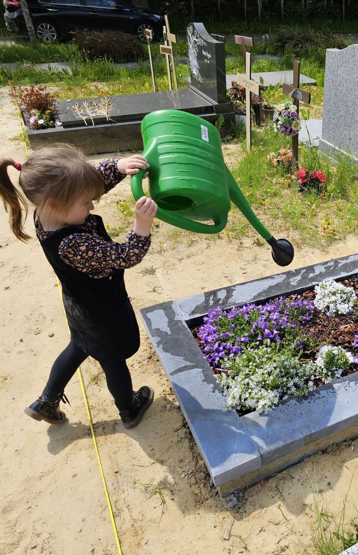 L’essor des funérailles écologiques - RTBF Actus
