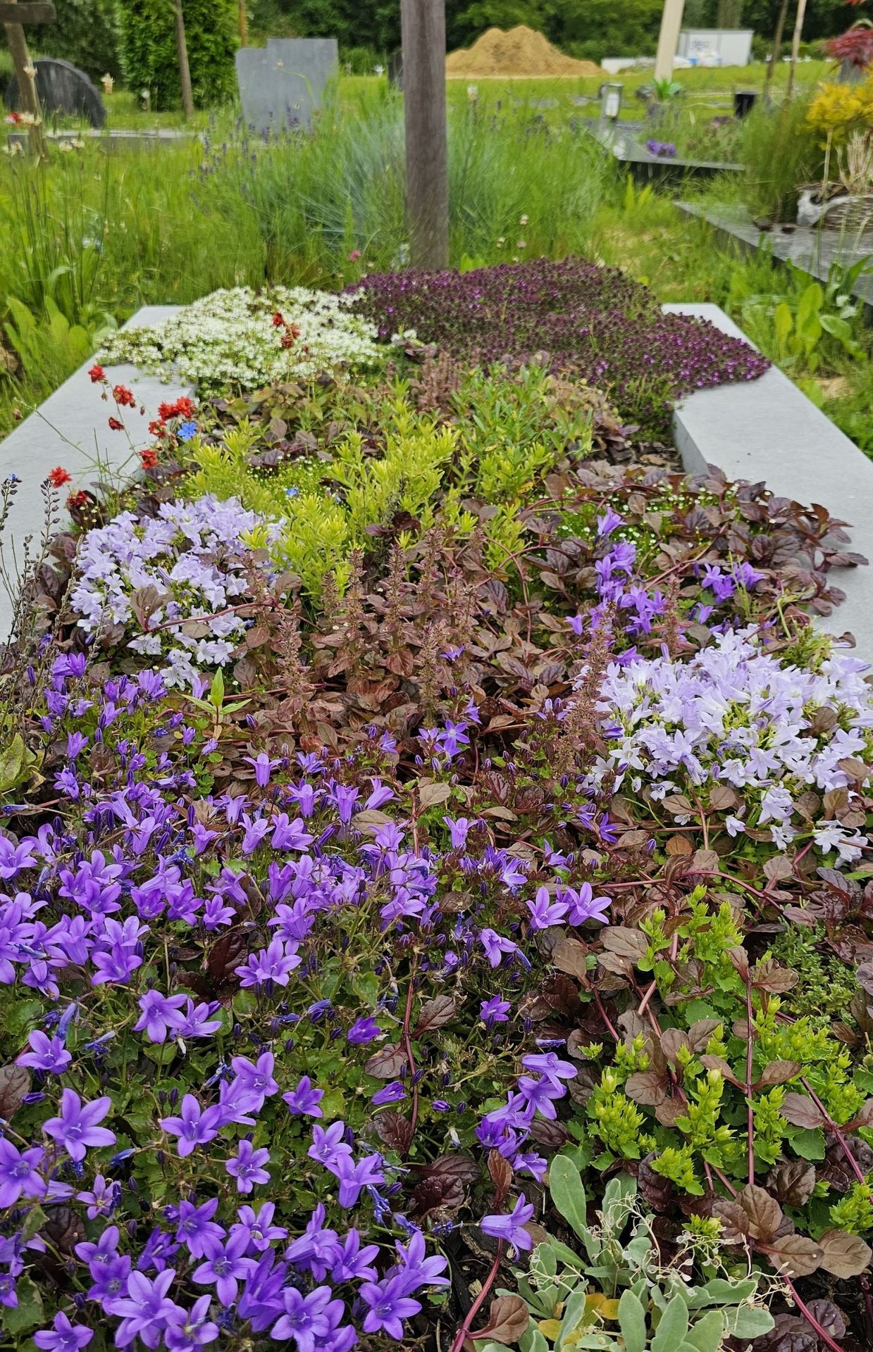 L’essor des funérailles écologiques - RTBF Actus