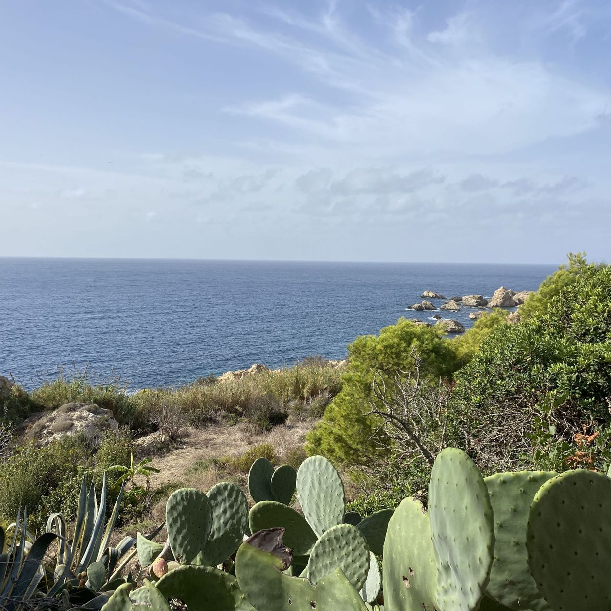 Malte passe l’hiver au chaud et au vert - RTBF Actus