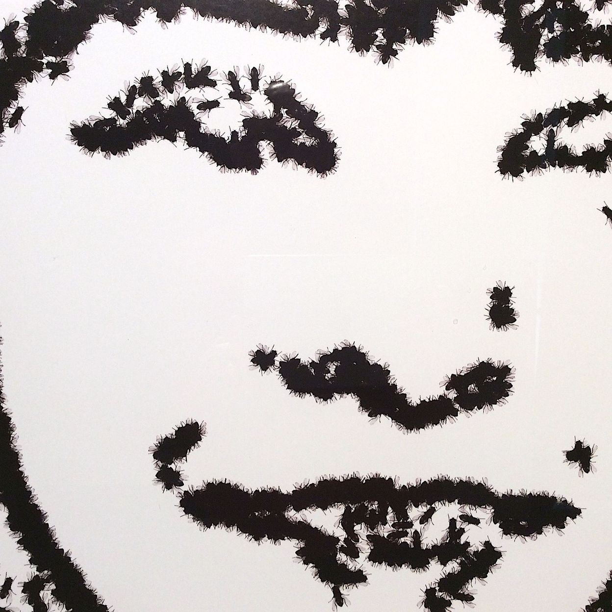 ' L’œuvre d’art comme système vivant ' : immersion dans l’œuvre ...