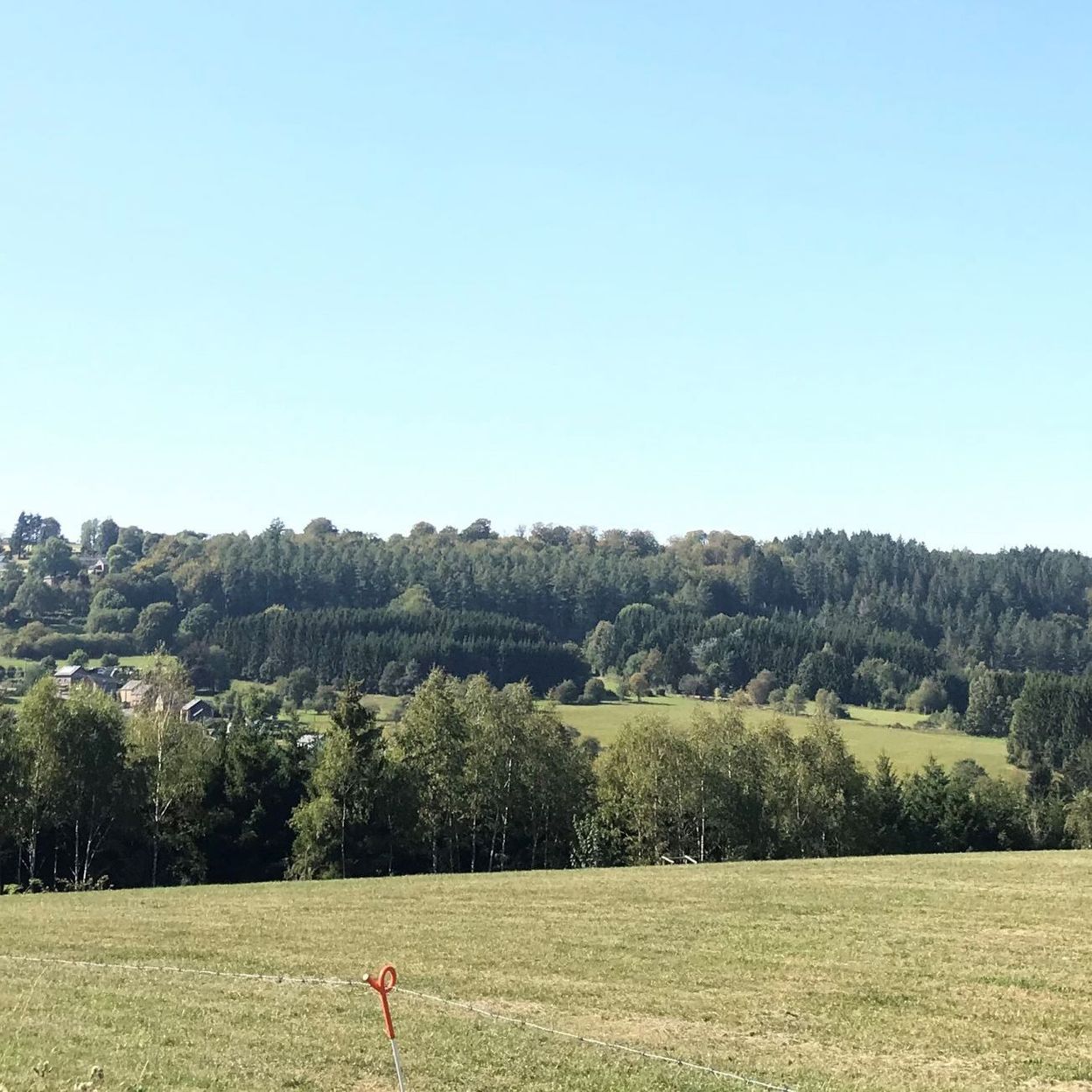 Manhay, de bonnes adresses au cœur de l'Ardenne belge ! - RTBF Actus