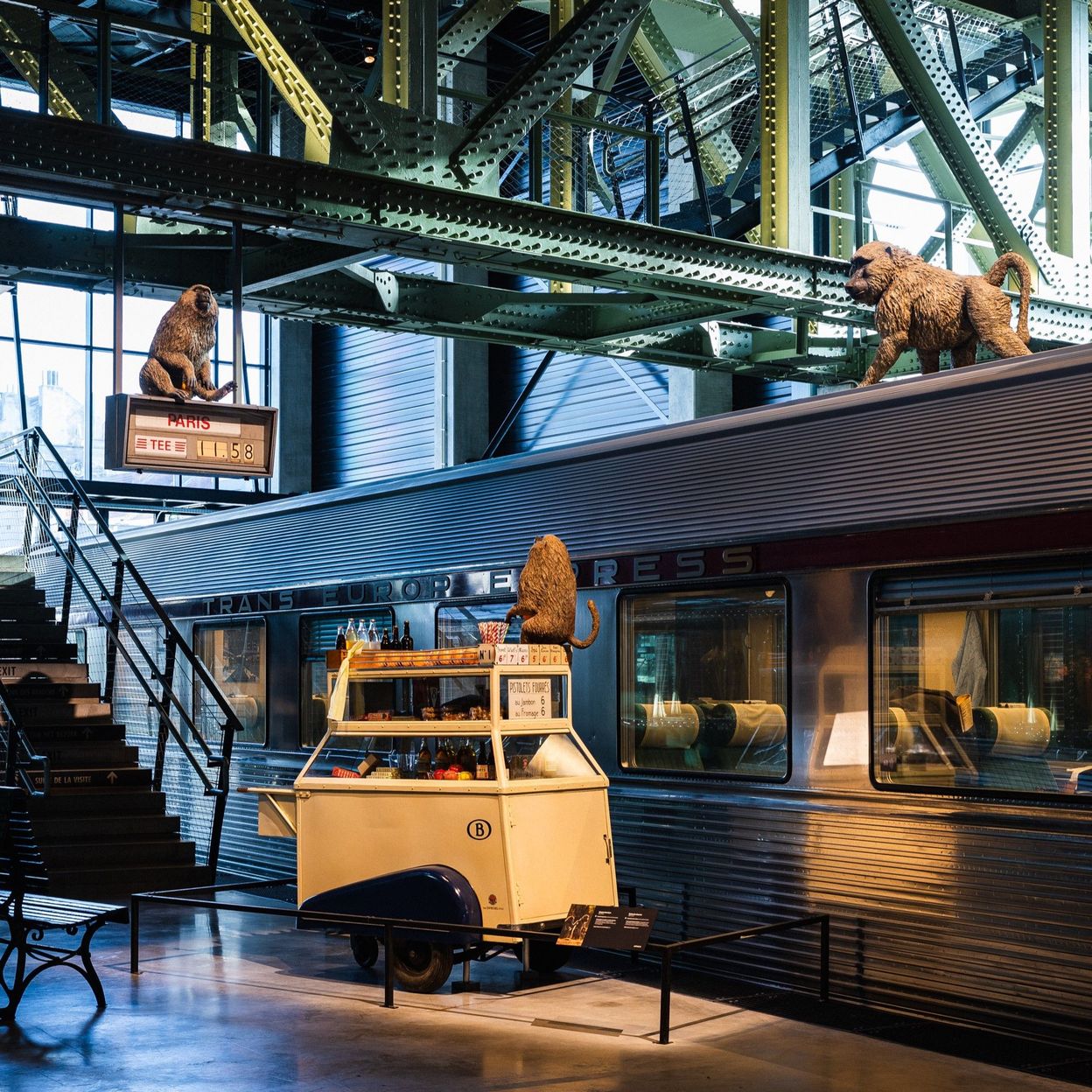 Découvrez l’Expo 'Animalia' à Train World, le musée de la Société ...