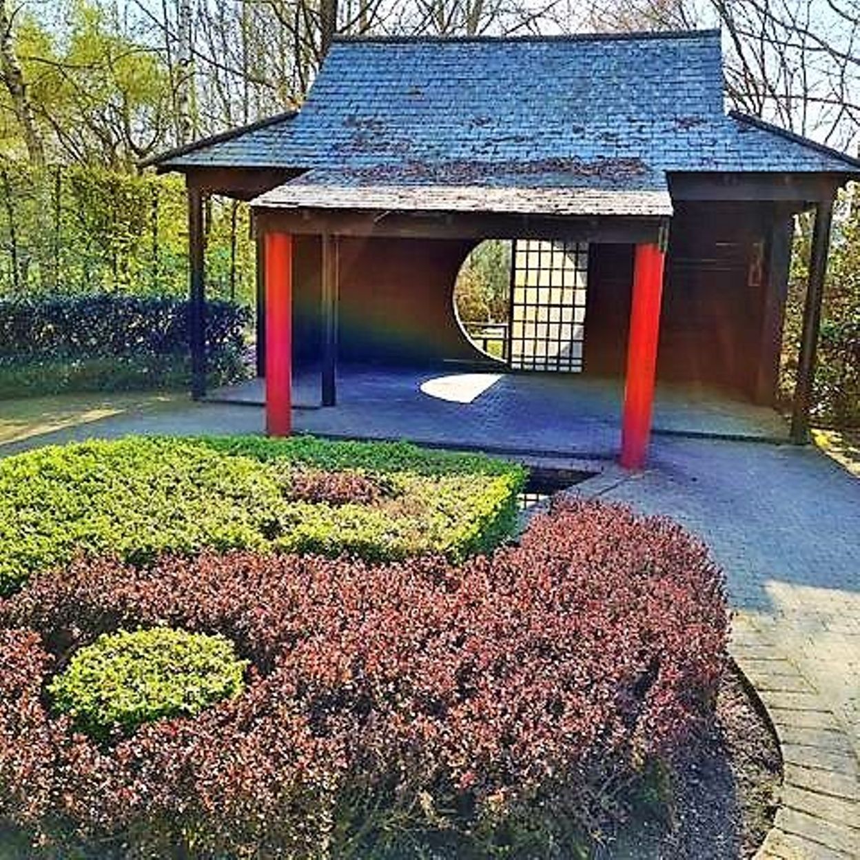5 bonnes raisons de prendre un bain de nature au Lac de Bambois - RTBF ...
