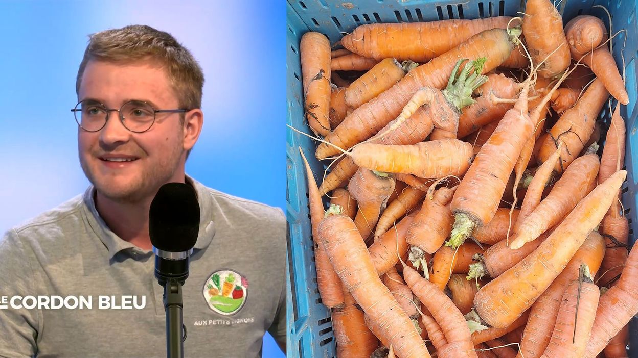 Le chicon, un légume d’hiver aux nombreux bienfaits pour la santé ...