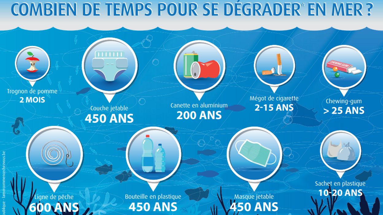 7 gestes simples pour protéger les océans de chez vous - RTBF Actus