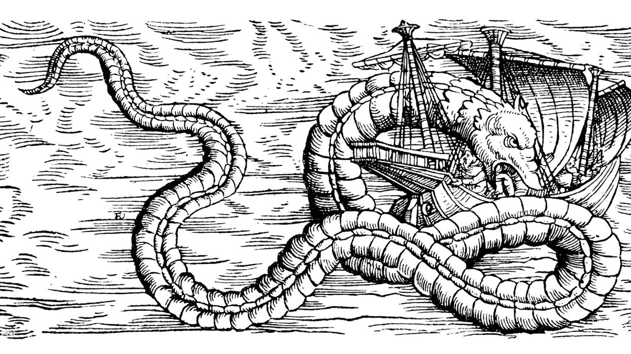 Le grand serpent de mer : imaginaire ou créature des fonds marins ...