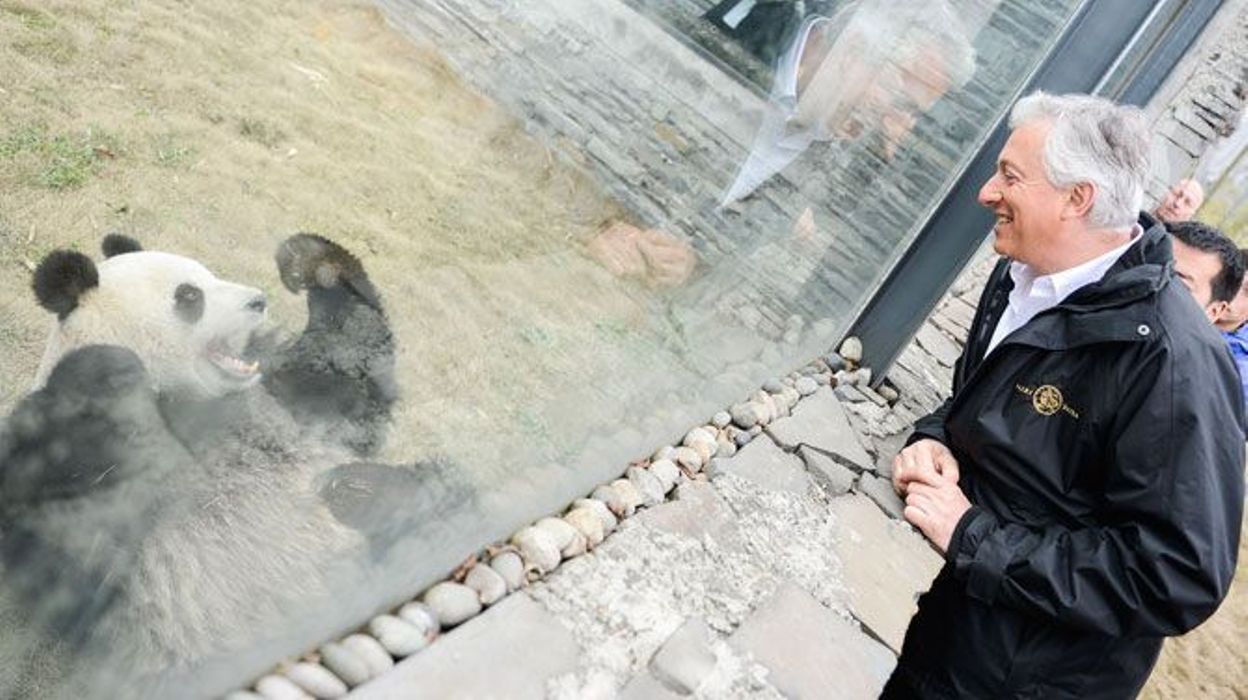 Eric Domb, patron de Païri Daïza - RTBF Actus