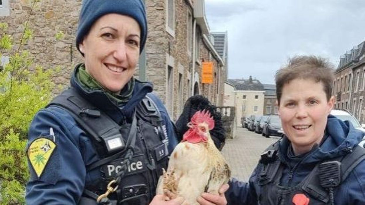Archéologie : une 'boulangerie-prison' où étaient enfermés des esclaves ...