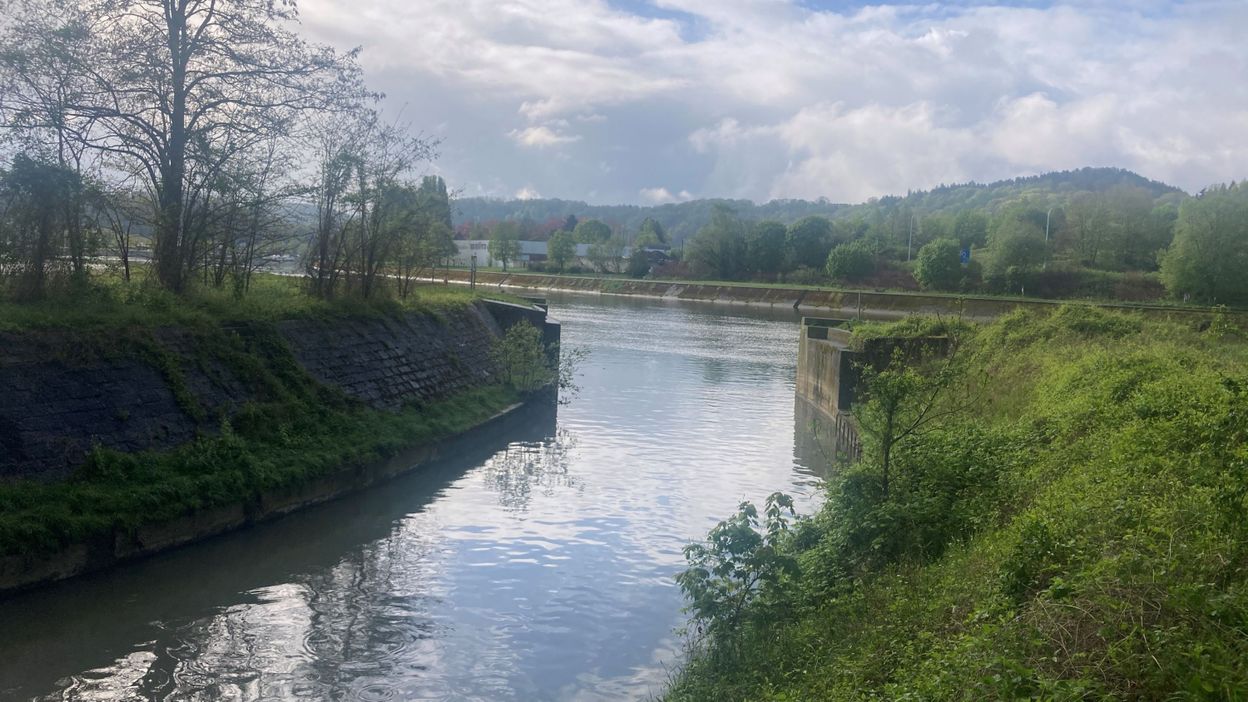 'Polluants éternels' en Wallonie et à Bruxelles : découvrez la carte inédite de la contamination ...