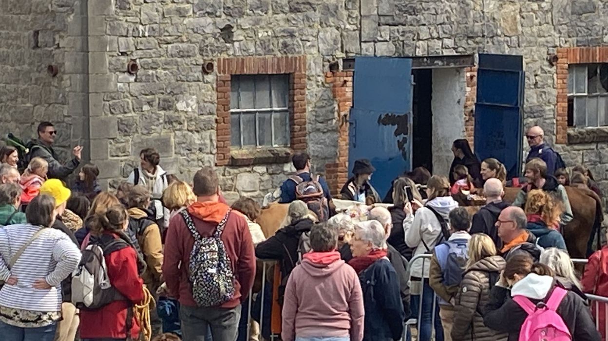 Lompret (Chimay) : 200 personnes pour la petite transhumance de la ...