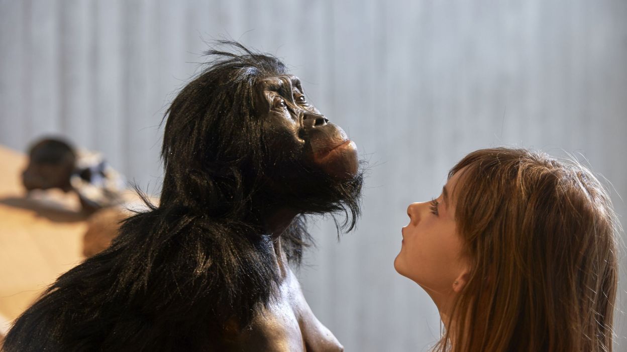 Il y a 50 ans, Lucy sortait de terre pour changer l’histoire de l ...