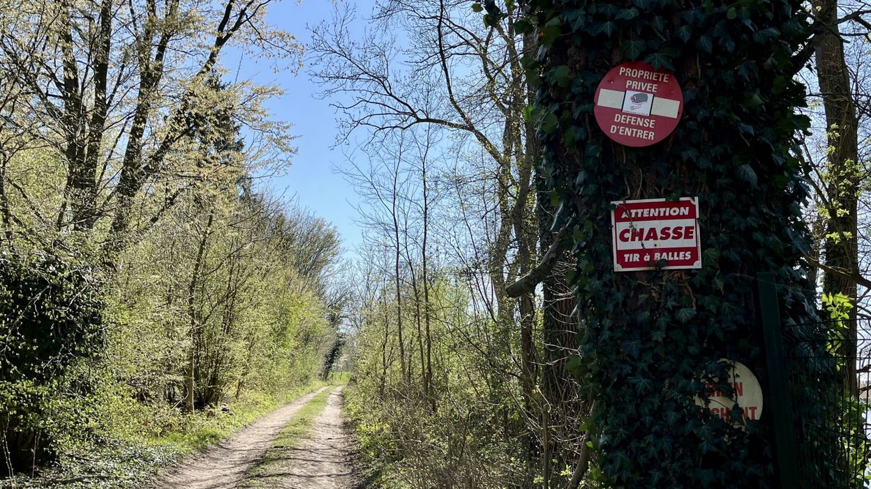 #Investigation 'Provinces, le grand ménage' : dix personnes dont le ...