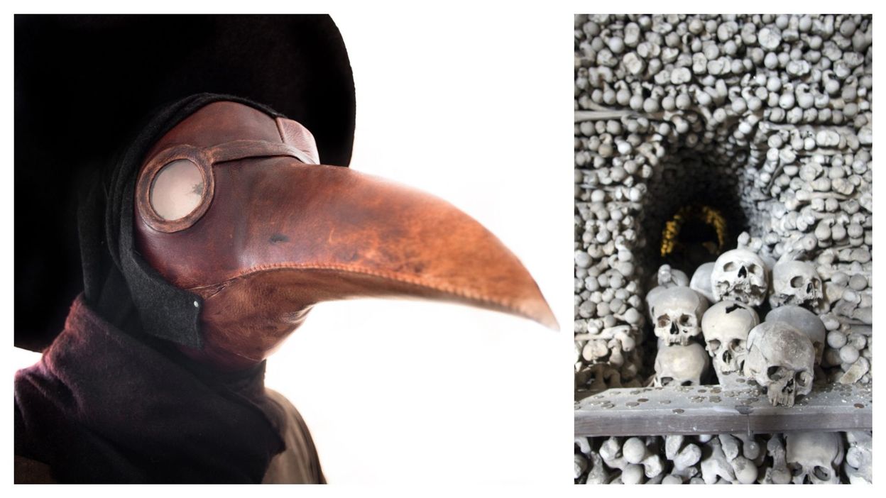 Histoire de la Santé : après des siècles de mystère, on connait enfin l ...