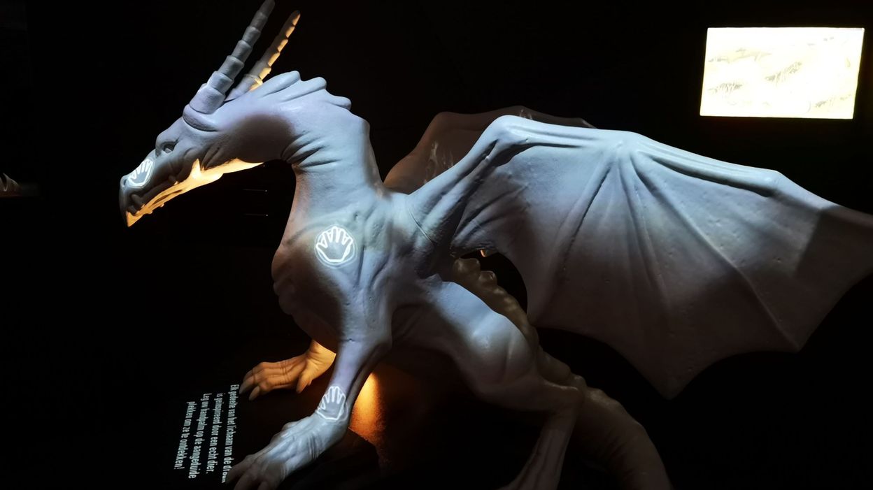 Le Musée du Doudou vous plonge au centre de la Ducasse de Mons - RTBF Actus