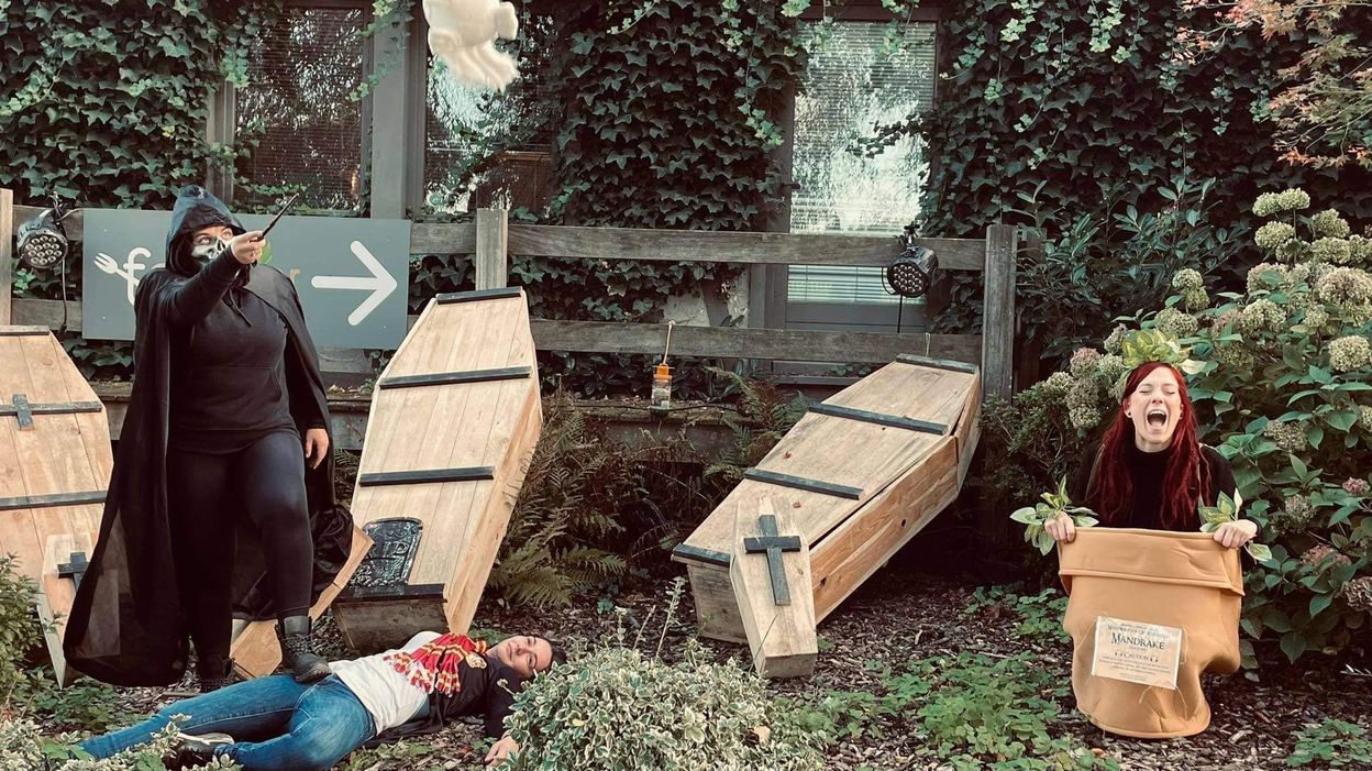 On a testé pour vous le Parc Forestia à Theux - RTBF Actus