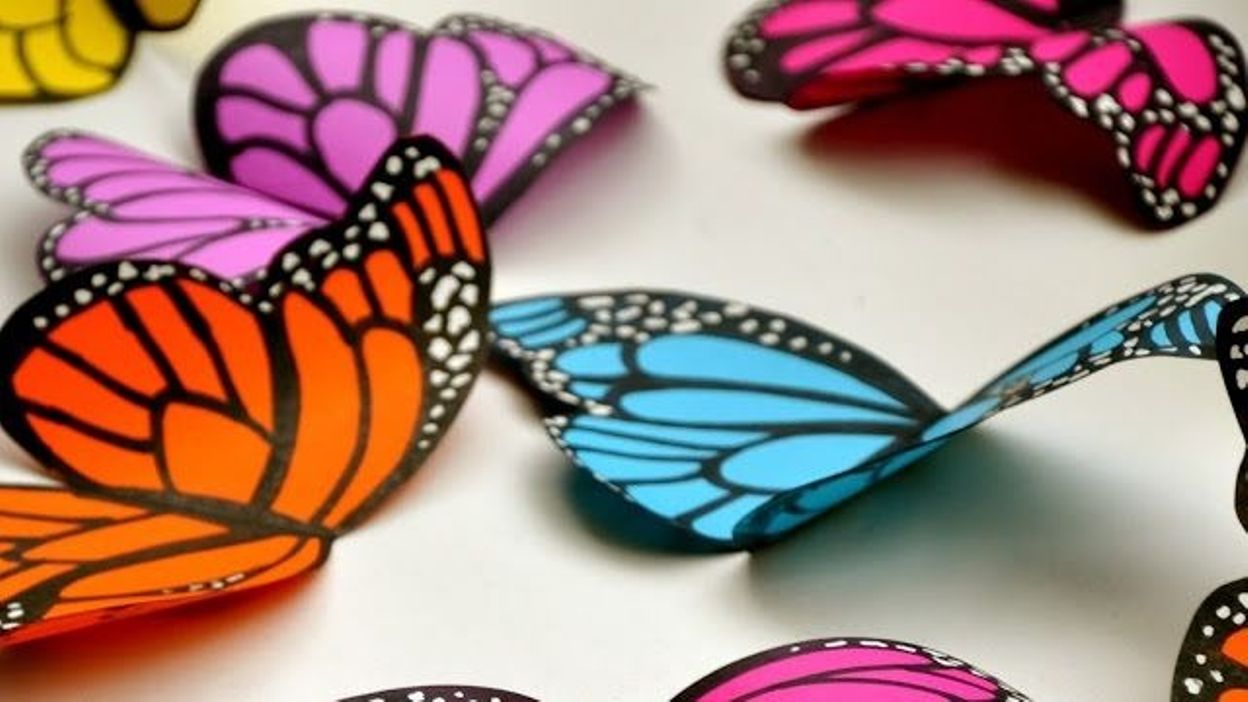 DIY Kids : et si on fabriquait des papillons en carton ? - RTBF Actus