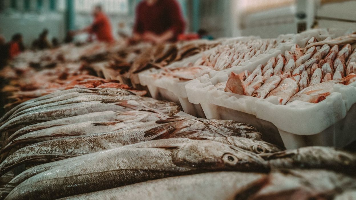 Le consommateur mange plus de poissons - RTBF Actus
