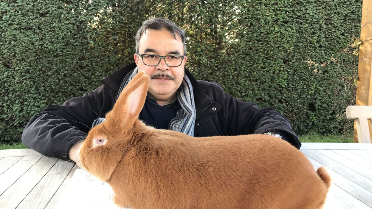Tournai: au menu de ce lundi perdu ou parjuré, le lapin aux pruneaux ...