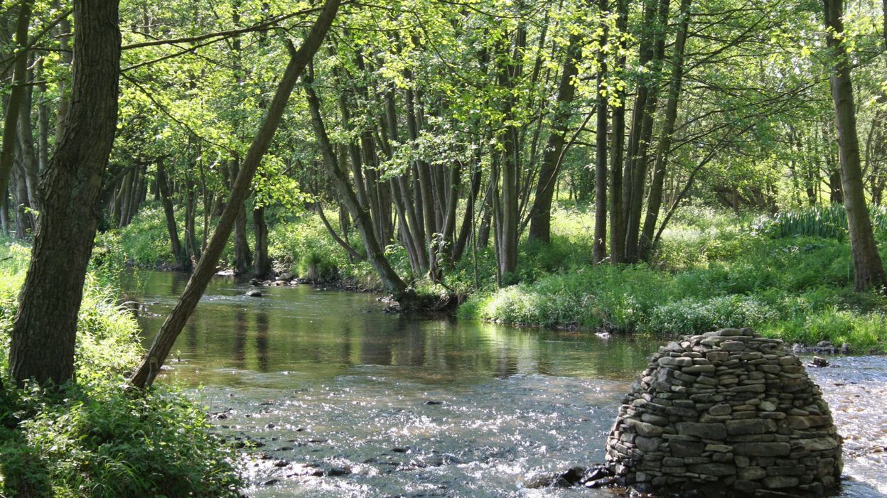 Escapade à GESVES : la fiche complète - RTBF Actus