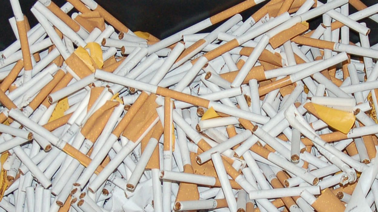 Démantèlement de la plus importante fabrique de cigarettes de ...