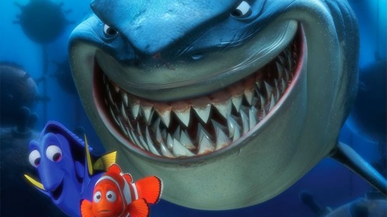 Némo, voilà 20 ans qu’il fait le (poisson) clown ! - RTBF Actus