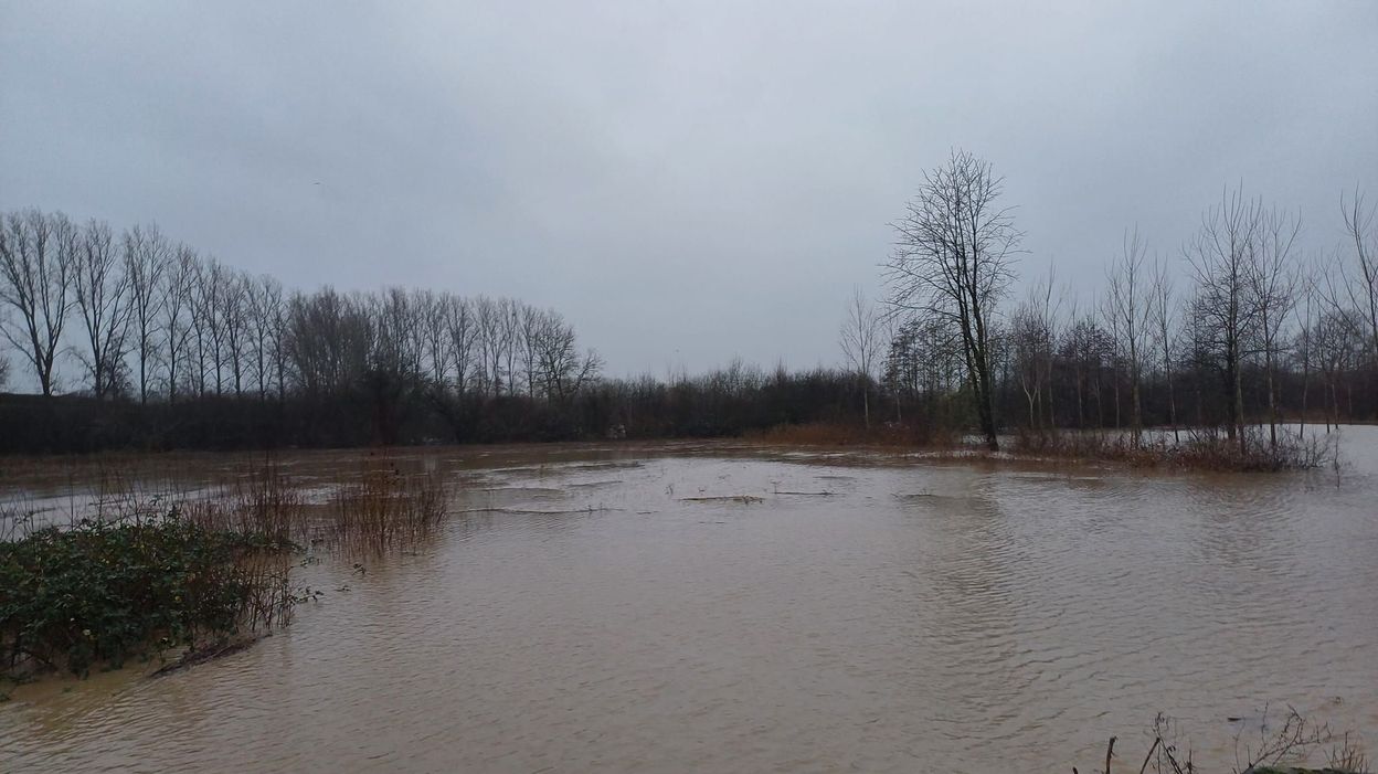 Tubize : le gigantesque chantier du Quartier des Confluents progresse ...
