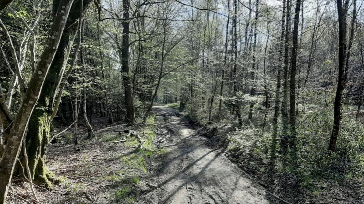 Les 20 marches Adeps du dimanche 14 mai en Wallonie - RTBF Actus