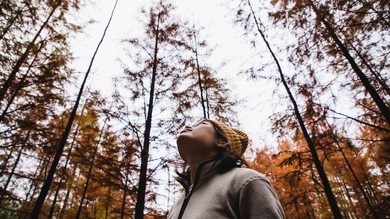 Marches Adeps de ce 11 décembre: 6 itinéraires balisés pour découvrir ...