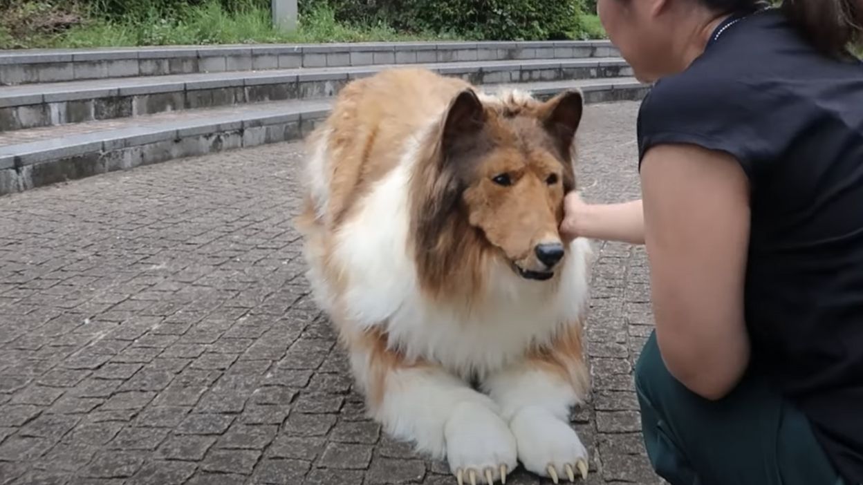 Smahlo était au micro de Loxley pour la sortie de son premier EP 'Horizon'