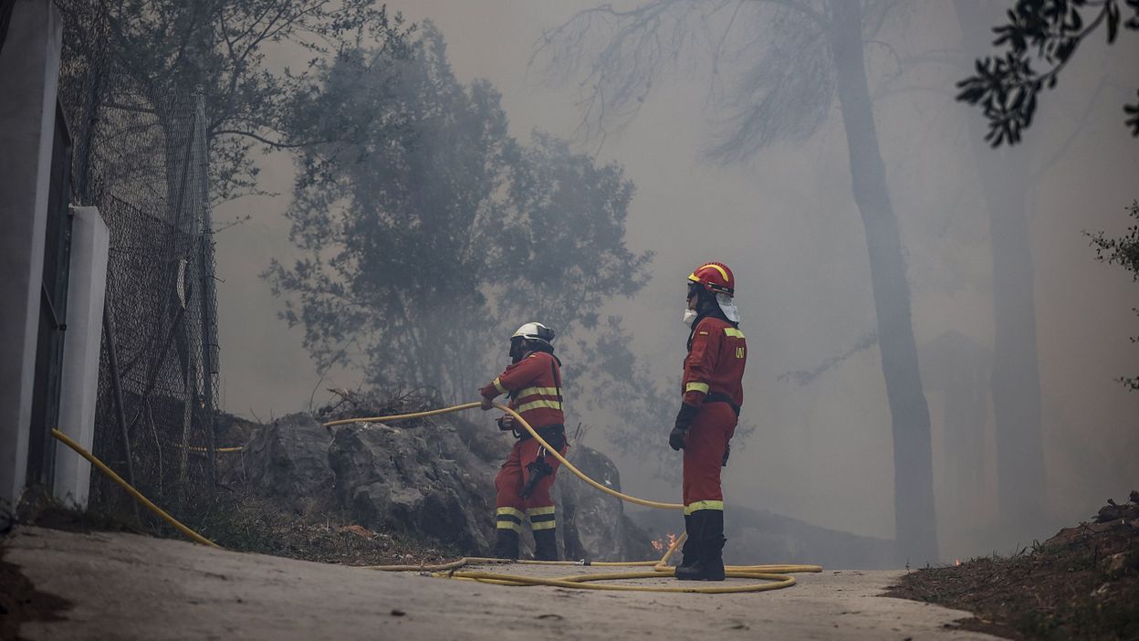 Le cauchemar en Grèce : de multiples incendies embrasent le pays, une ...