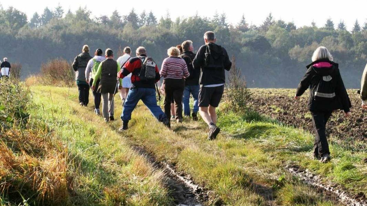 Les 19 marches Adeps du dimanche 22 octobre en Wallonie - RTBF Actus