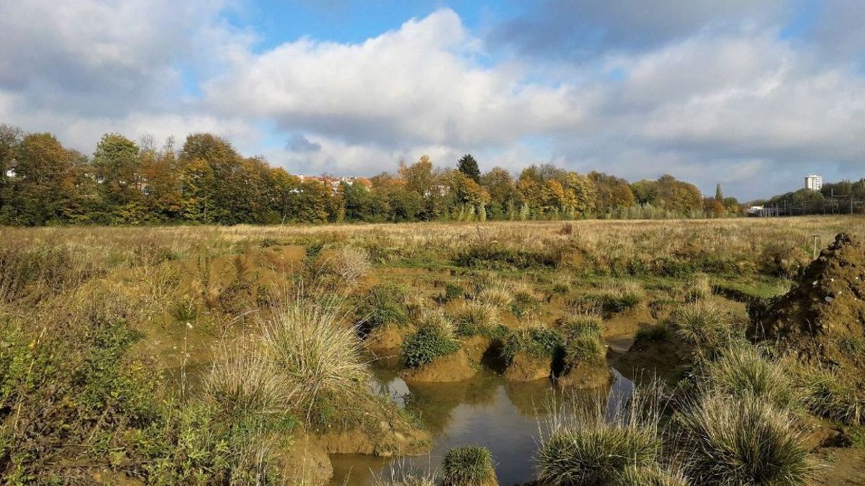 Des activistes de Code Rouge ont quitté le site de Cargill à Gand : une ...