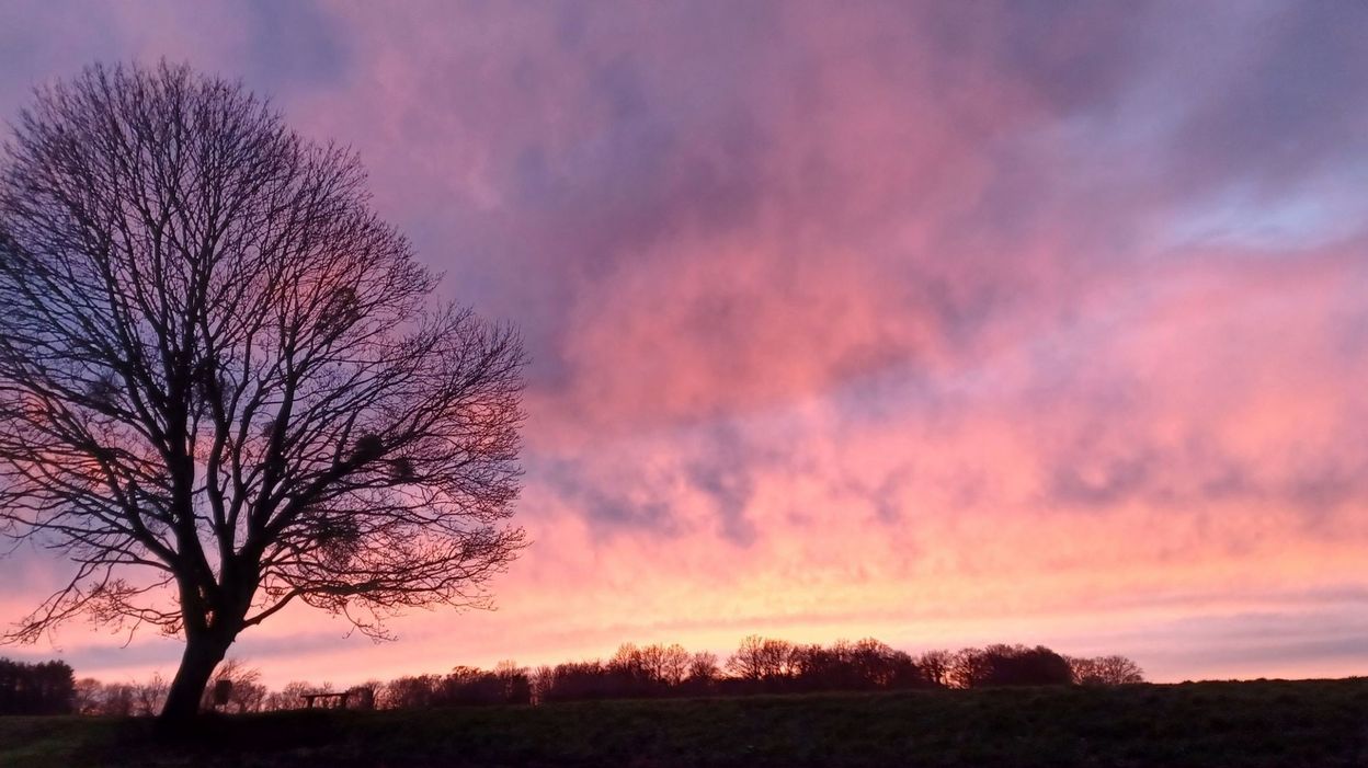 Ciel flamboyant ce mardi soir : vos plus belles images - RTBF Actus