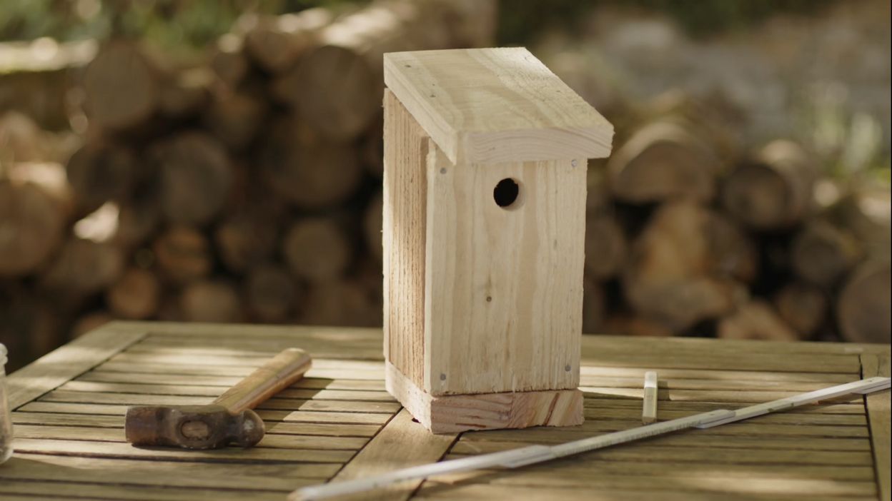 Comment fabriquer un nichoir à mésanges - RTBF Actus