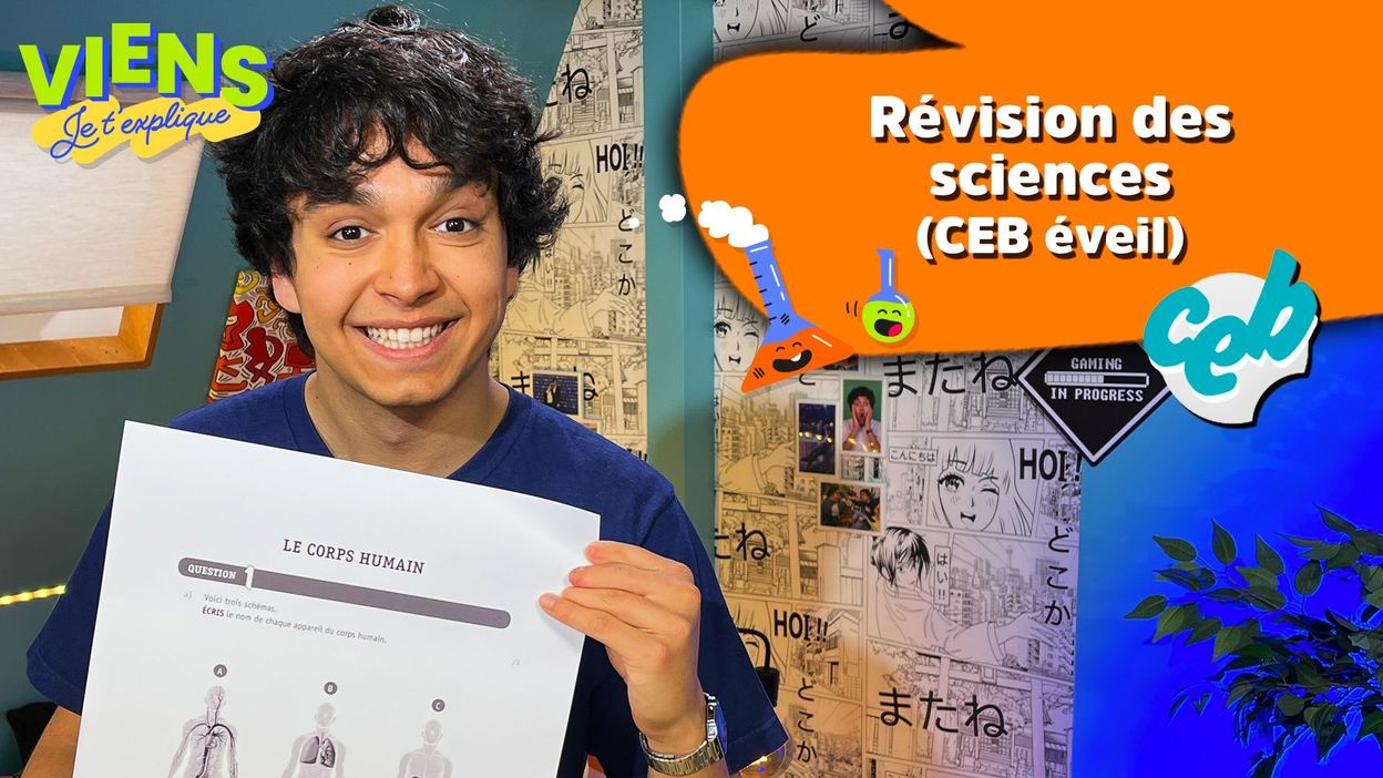 Trucs et astuces pour bien lire et comprendre un texte, au CEB de ...