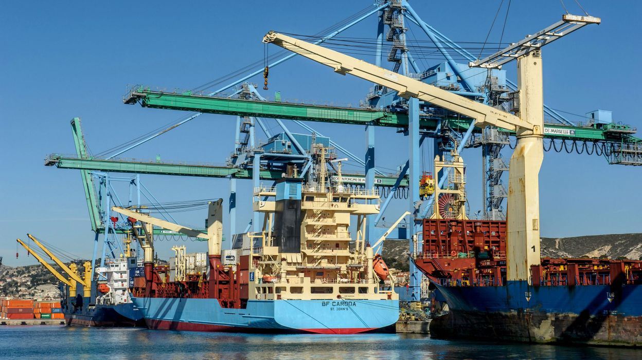 Le Madleen, bateau pour Gaza arraisonné par Israël, est arrivé au port ...