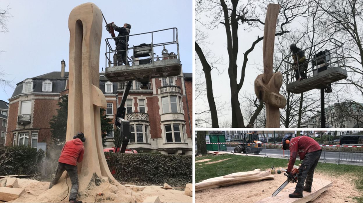 Square Vergote : promis à l'abattage, deux hêtres morts deviennent des ...