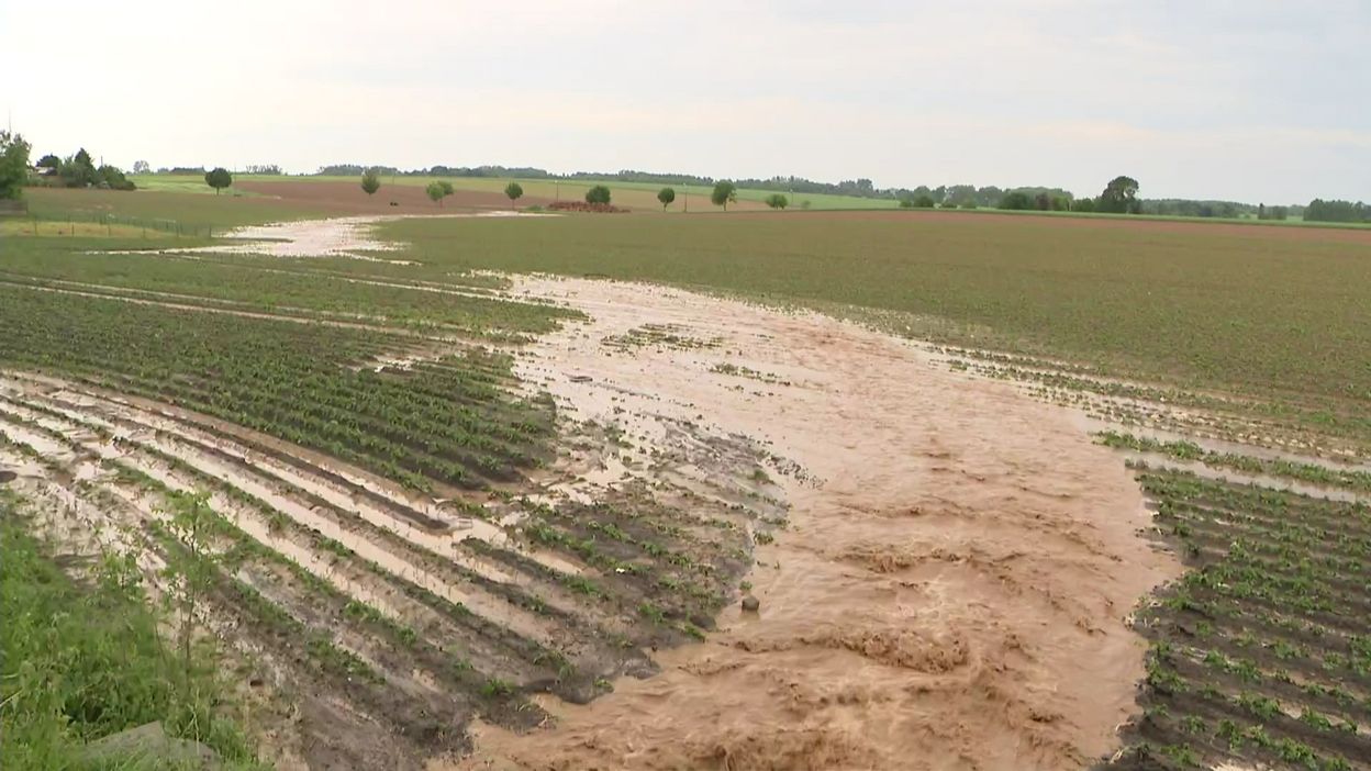 Les agriculteurs souvent pointés du doigt après les coulées de boue ...