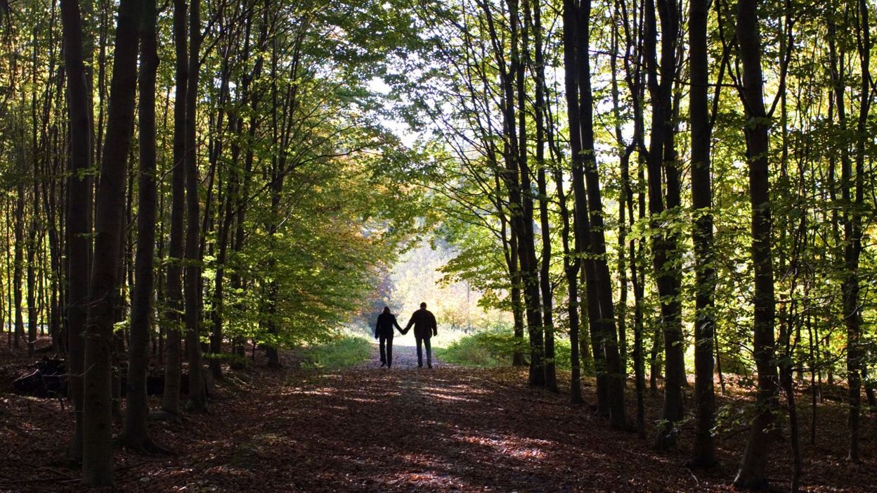 Les gardes forestiers de la forêt de Soignes désarmés - RTBF Actus