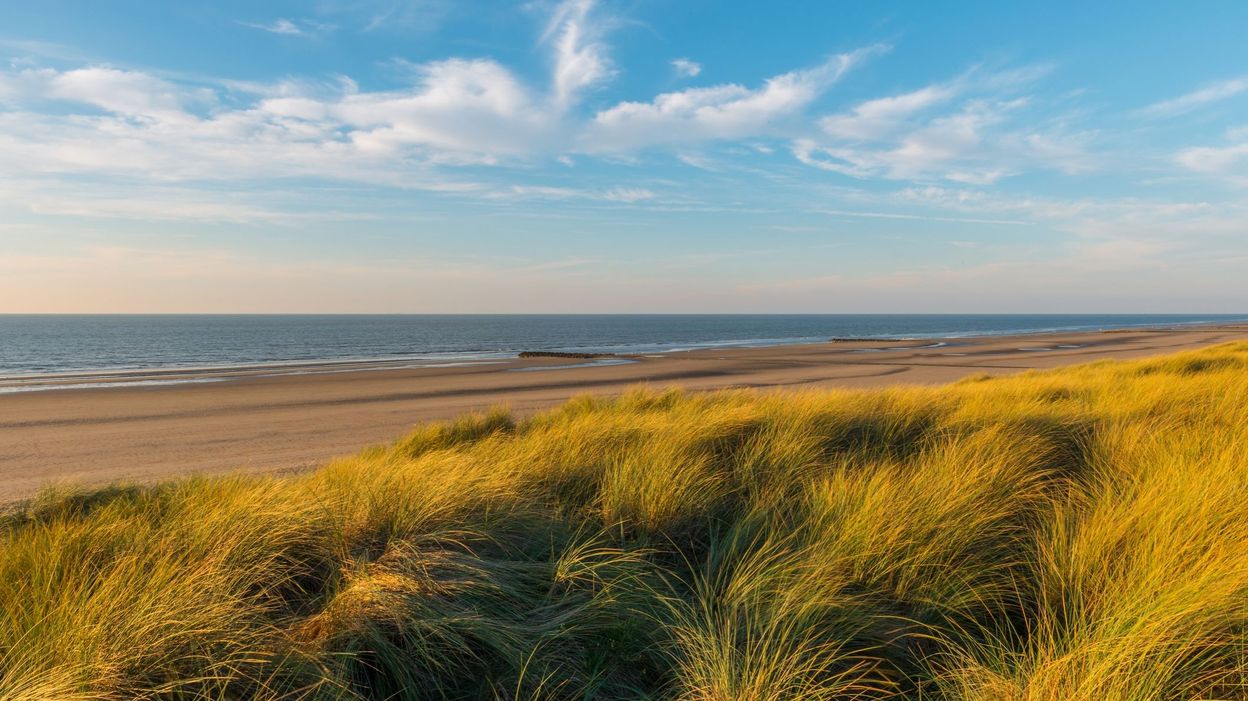 Pourquoi la mer du Nord est-elle grise ? - rtbf.be