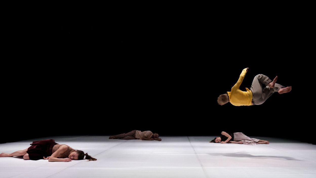 'Murmuration', un spectacle phénoménal de Sadeck Berrabah - RTBF Actus