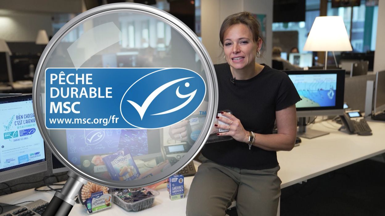 Le Scan : poisson labellisé rime-t-il avec poisson durable ? - RTBF Actus