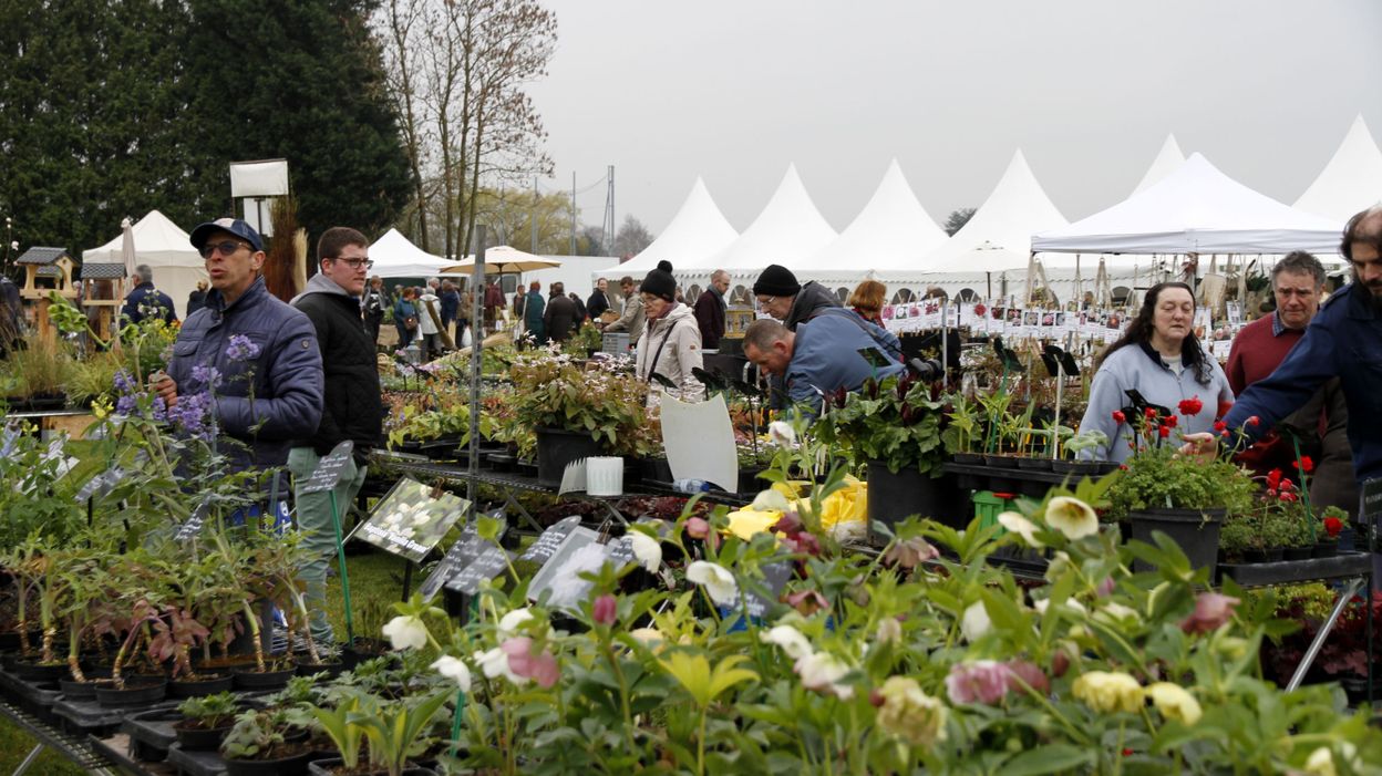La Fête des plantes de Locon célébrera ces 18 et 19 mars le mariage des ...