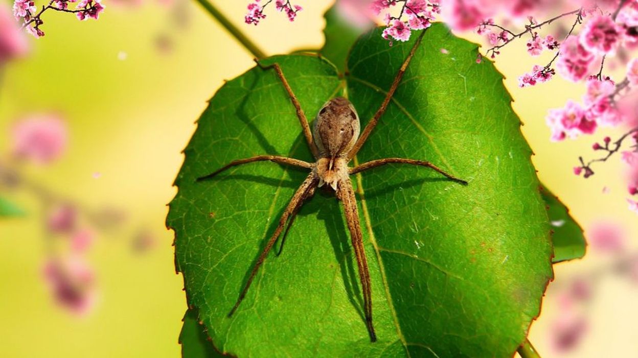 Les fantômes du lactarium - RTBF Actus