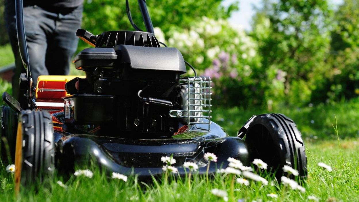 Retour des beaux jours : une tonte raisonnée pour un jardin plus ...
