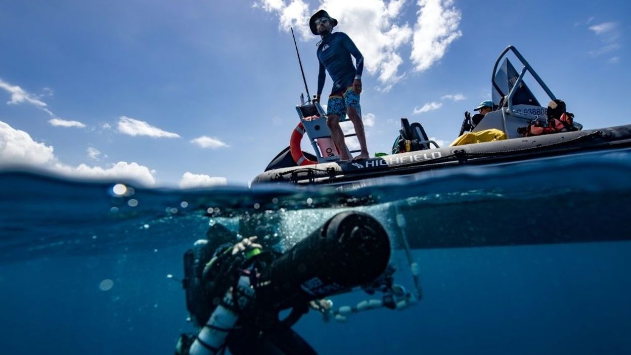 La haute mer, ce sanctuaire de ressources génétiques marines avidement ...