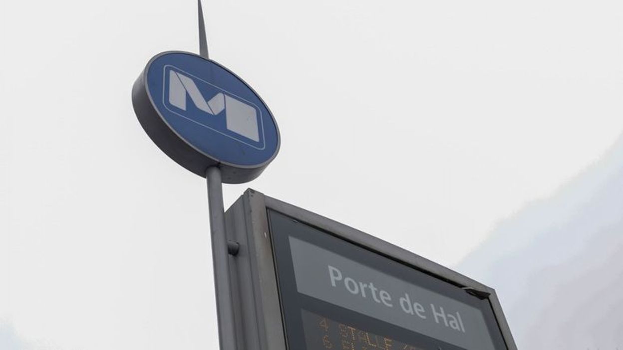 Des renards dans le métro à Bruxelles : 'Leur espérance de vie est plus élevée ici qu’en ...