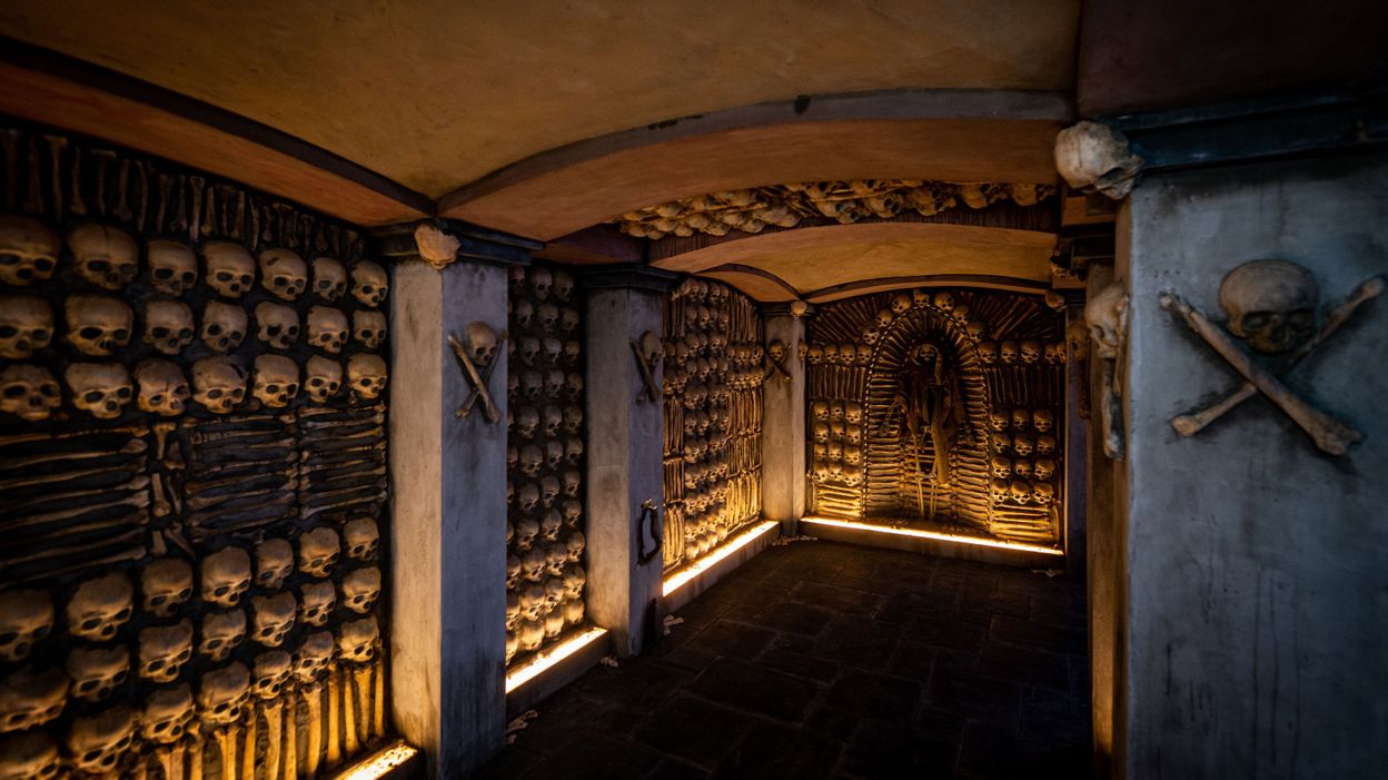 'Extra Muros' ou le mur dans tous ses états, une nouvelle expo à la ...